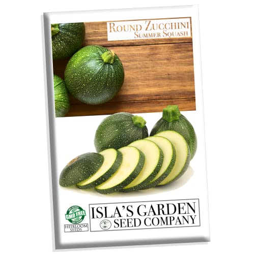 Round Zucchini Summer Squash Seeds for Planting, (Eight Ball Zucchini), 40+ Heirloom Seeds Per Packet, (Isla's Garden Seeds), Non GMO Seeds, Botanical Name: Cucurbirta Pepo