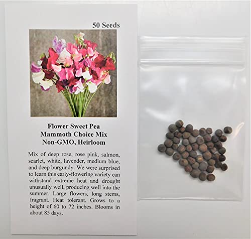 David's Garden Seeds Flower Sweet Pea Mammoth Choice Mix FBA-1488 (Multi) 50 Non-GMO, Heirloom Seeds