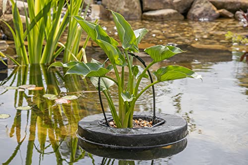 PondH2o 14" Round Floating Aquatic Water Garden Pond Planter Baskets, Floatable Aquatic Plant Flower Islands for Ponds and Water Features | Value 2 Pack