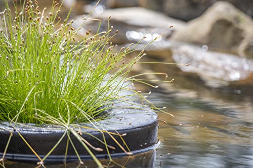 PondH2o 14" Round Floating Aquatic Water Garden Pond Planter Baskets, Floatable Aquatic Plant Flower Islands for Ponds and Water Features | Value 2 Pack