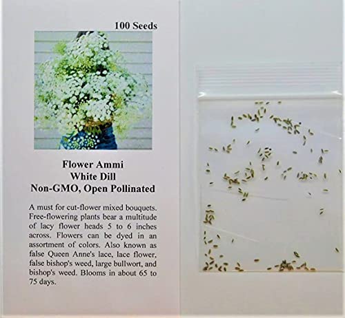 David's Garden Seeds Flower Ammi White Dill 8375 (White) 100 Non-GMO, Heirloom Seeds