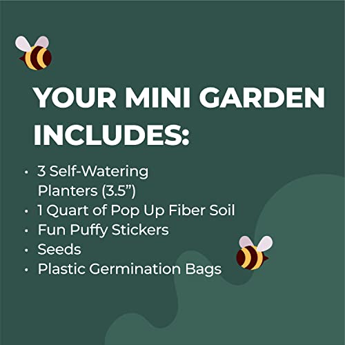 Window Garden Sow Much Fun Seed Starting, Vegetable Planting and Growing Kit for Kids, 3 Self Watering Planters, Soil, Seeds and Puffy Stickers. No Mess, Easy, Works Great! (Pumpkin)