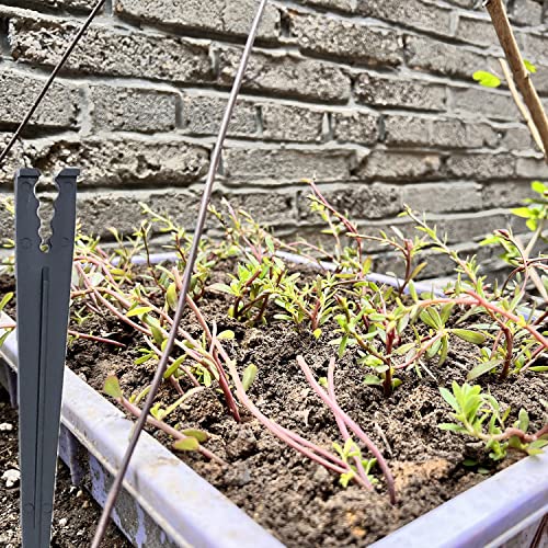 MYYZMY 80 Pcs Irrigation Drip Support Stakes 1/8-1/4" Universal Drip Lines Tubing Hose for Gardens, Flowers, Plants, Vegetable