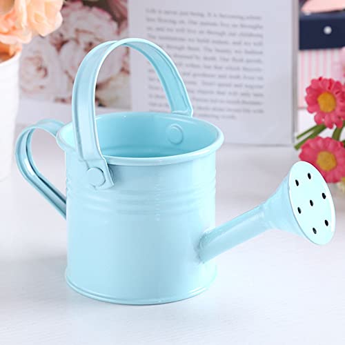 SMLJFO Watering Can for Indoor Outdoor Plants, Modern Style Watering Pot with Handle Sprinkler Head Iron House Garden Flower Long Spout Shower Pink 5.1in