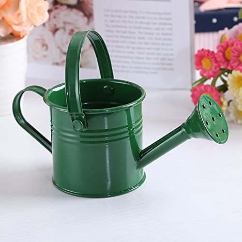 SMLJFO Watering Can for Indoor Outdoor Plants, Modern Style Watering Pot with Handle Sprinkler Head Iron House Garden Flower Long Spout Shower Pink 5.1in