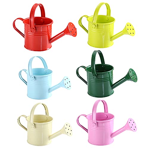 SMLJFO Watering Can for Indoor Outdoor Plants, Modern Style Watering Pot with Handle Sprinkler Head Iron House Garden Flower Long Spout Shower Pink 5.1in