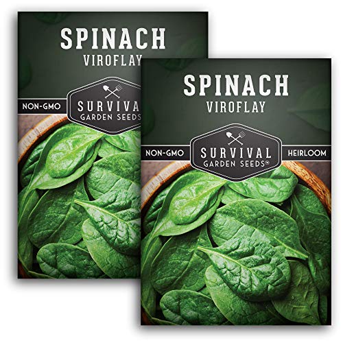 Survival Garden Seeds - Viroflay Spinach Seed for Planting - Packet with Instructions to Plant and Grow Nutritious Leafy Greens in Your Home Vegetable Garden - Non-GMO Heirloom Variety - 2 Pack