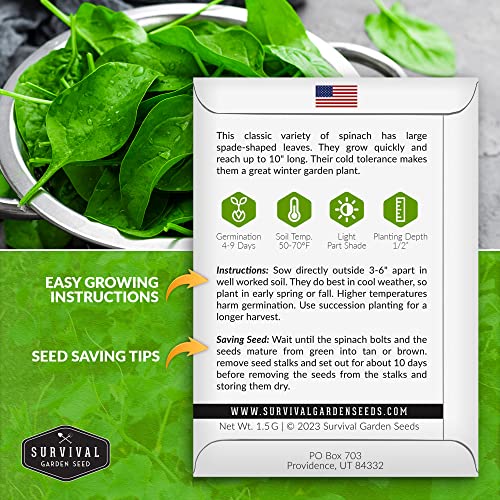 Survival Garden Seeds - Viroflay Spinach Seed for Planting - Packet with Instructions to Plant and Grow Nutritious Leafy Greens in Your Home Vegetable Garden - Non-GMO Heirloom Variety - 2 Pack