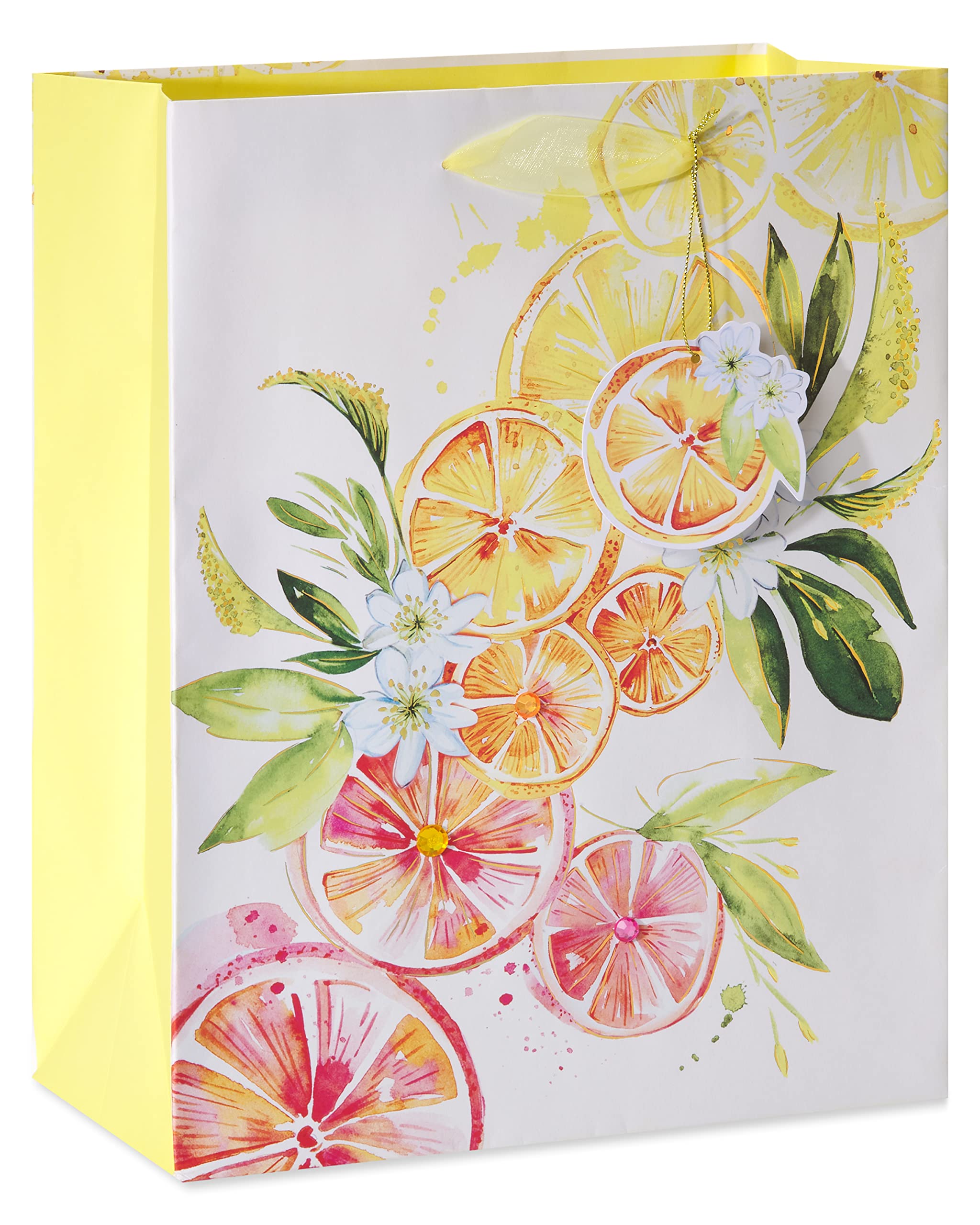 Papyrus Gift Bags with Tissue Paper (Citrus) for Birthdays, Weddings, Bridal Showers, Baby Showers and All Occasions (2 Bags, 1 Large 13", 1 Medium 9", 8-Sheets)