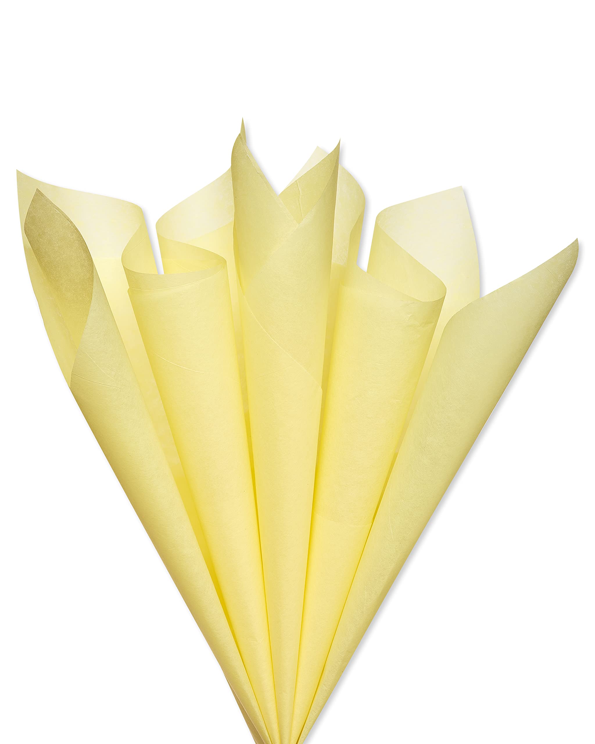 Papyrus Gift Bags with Tissue Paper (Citrus) for Birthdays, Weddings, Bridal Showers, Baby Showers and All Occasions (2 Bags, 1 Large 13", 1 Medium 9", 8-Sheets)