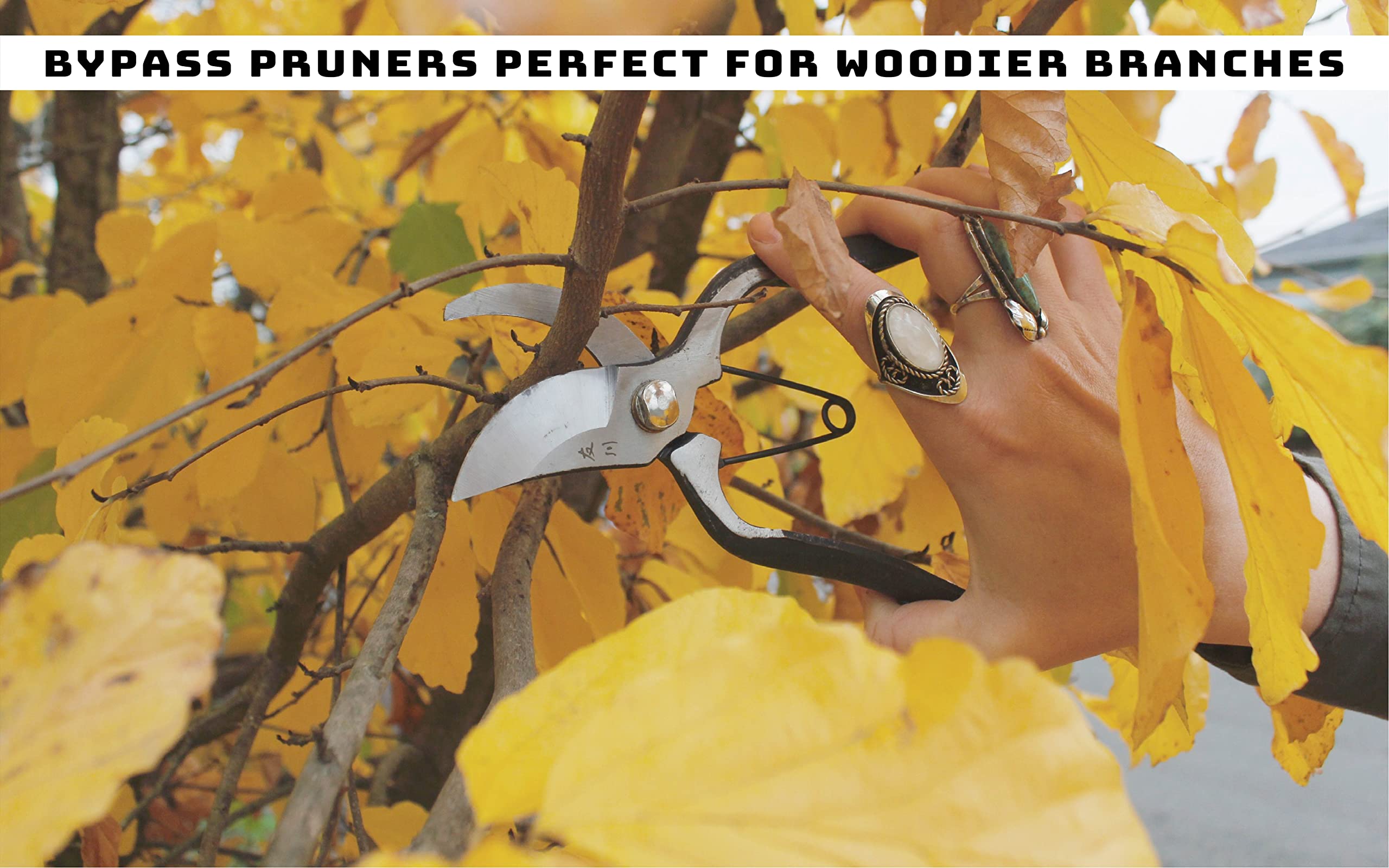 Skyhaven Harvest Bypass Pruning Shears 8 Inch Japanese-style Forged Carbon Steel Garden Scissors, Gardening Tools Hand Pruner with Ergonomic Handle.