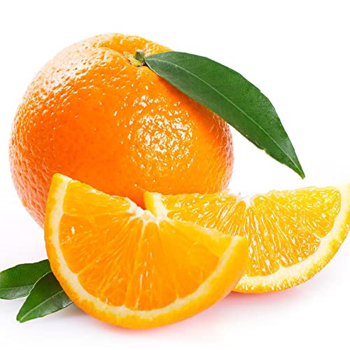 QAUZUY GARDEN 10 Seeds Orange Seeds - Organic Non-GMO Sweet Orange Seeds - Sweet Fragrant Citrus Sinensis Fruits - Grow Your Own Delicious Fruit Tree