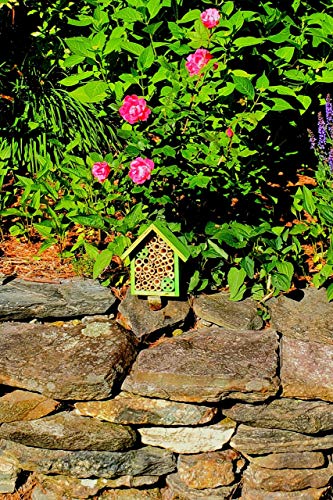 Rose Pink and Green Mason Bee House for The Garden Bundle - Lifetime Replacement Guarantee