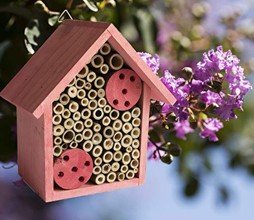 Rose Pink and Green Mason Bee House for The Garden Bundle - Lifetime Replacement Guarantee