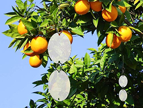 Monarchy Solutions Premium Metal Bird Deterrent Discs 16 Discs Set Reflective Hanging Device to Keep Birds Away Like Woodpeckers, Pigeons, Ducks, Herons, Grackles, Geese & Pest , Bird Blinder disks