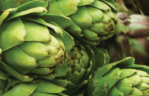 Artichoke Seeds for Planting, 35 Green Globe Artichoke Seeds, High Germination Rates, Heirloom, Non-GMO