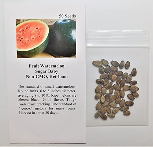 David's Garden Seeds Fruit Watermelon Sugar Baby FBA-4756 (Red) 50 Non-GMO, Heirloom Seeds