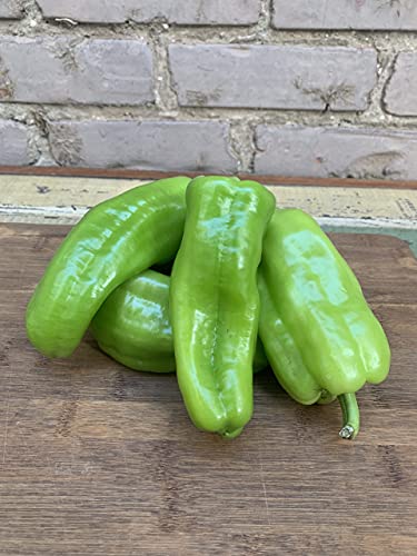 Cubanelle (Capsicum annuum.) 250mg Seeds for Planting, Pepper-Sweet, Italian Frying Pepper, Cuban Pepper., Pimiento de Cocinar de Cocinar, Open Pollinated, Non GMO, Vegetable Garden
