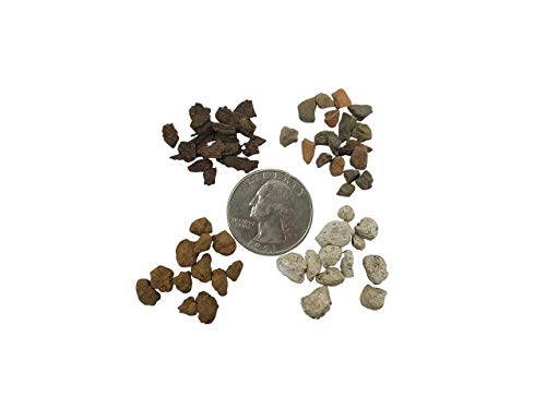 Succulent & Cactus Soil Mix - Premium Pre-Mixed Fast Draining Blend (2.5 Dry Quarts)