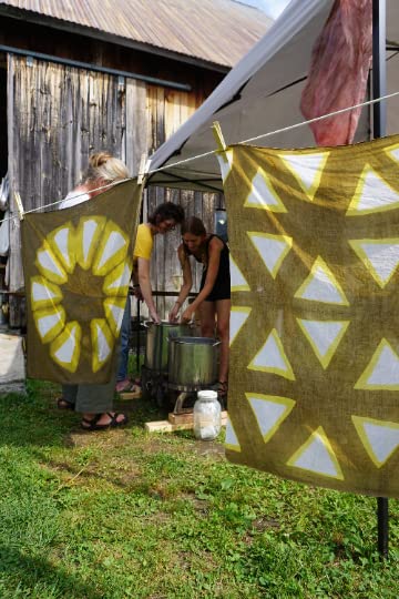 Primary Colors Natural Dye Seeds : 3 Varieties, Red, Yellow, Blue