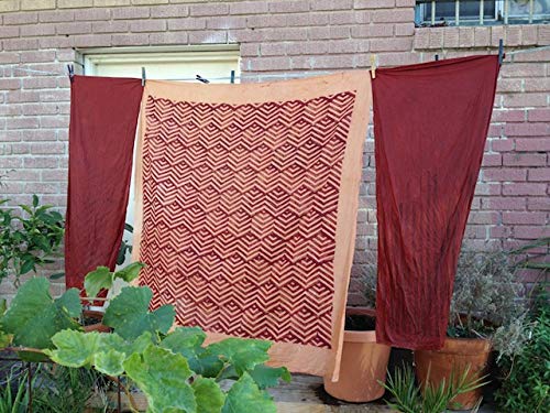 Primary Colors Natural Dye Seeds : 3 Varieties, Red, Yellow, Blue