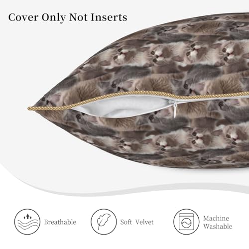 Augenstern Zippered Pillow Protectors Cover Case Camo-Kitty-Cute-Shorthair-Cat Decorative Throw Pillow Cover Square Cushion Case 20"X20"
