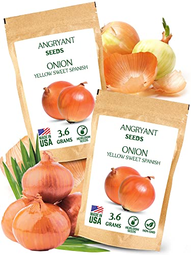 Yellow Sweet Spanish Onion Seeds for Planting Indoors and Outdoors - 1600+ Non GMO Seeds Per Packet - 100% USA Grown - Heirloom Seeds for Home Vegetable Garden