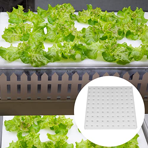 Eshylala 400 PCS Hydroponic Sponge Planting Tool Square Seedling Sponges Greenhouse Hydroponic Sponge Hydroponic Vegetable Planting Sponge for Small Bud Growth