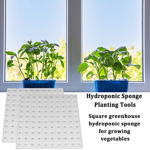 Eshylala 400 PCS Hydroponic Sponge Planting Tool Square Seedling Sponges Greenhouse Hydroponic Sponge Hydroponic Vegetable Planting Sponge for Small Bud Growth