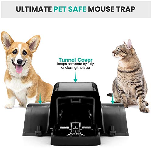 eXuby Pet-Safe & Child-Safe Rat Traps w/Tunnel Design (4-Pack) β Dual Entry for Better Capture Rate - No Harmful Poison - Prevents Accidental Triggering - Avoid Finger Snapping - Setup in Seconds.