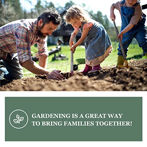 Sow Right Seeds - Casper Pumpkin Seed for Planting - Non-GMO Heirloom Packets with Instructions to Plant a Home Vegetable Garden (2)
