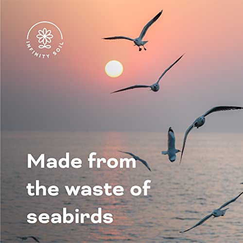 Infinity Soil - Seabird Guano - Sustainable and Natural Soil Amendment - Seabird Waste Rich in Phosphate and Calcium - Increases Foliage, Blooms and Fruit - 5 LBS