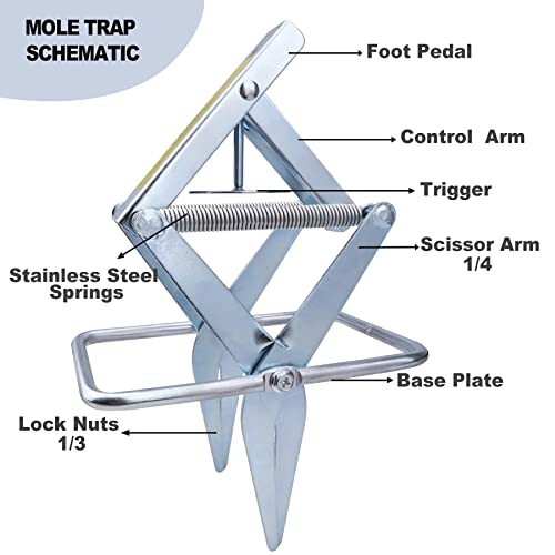 2 Pcs Mole Traps,Galvanized Steel Mole Scissor Trap,Reusable Mole Gopher Traps,Mole Killer,Easy Set Mole Eliminator Trap for Lawns