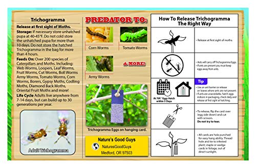 Bug Sales Trichogramma 3 Squares/ 12,000 Eggs
