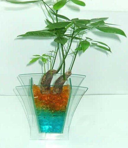 Malibu Sand ;7 Packs; 14g/pkg (Yellow,red,purple, Pink, Green,orange and Clear)+Includes (1) Crystal Soil Disney(tm) Character.