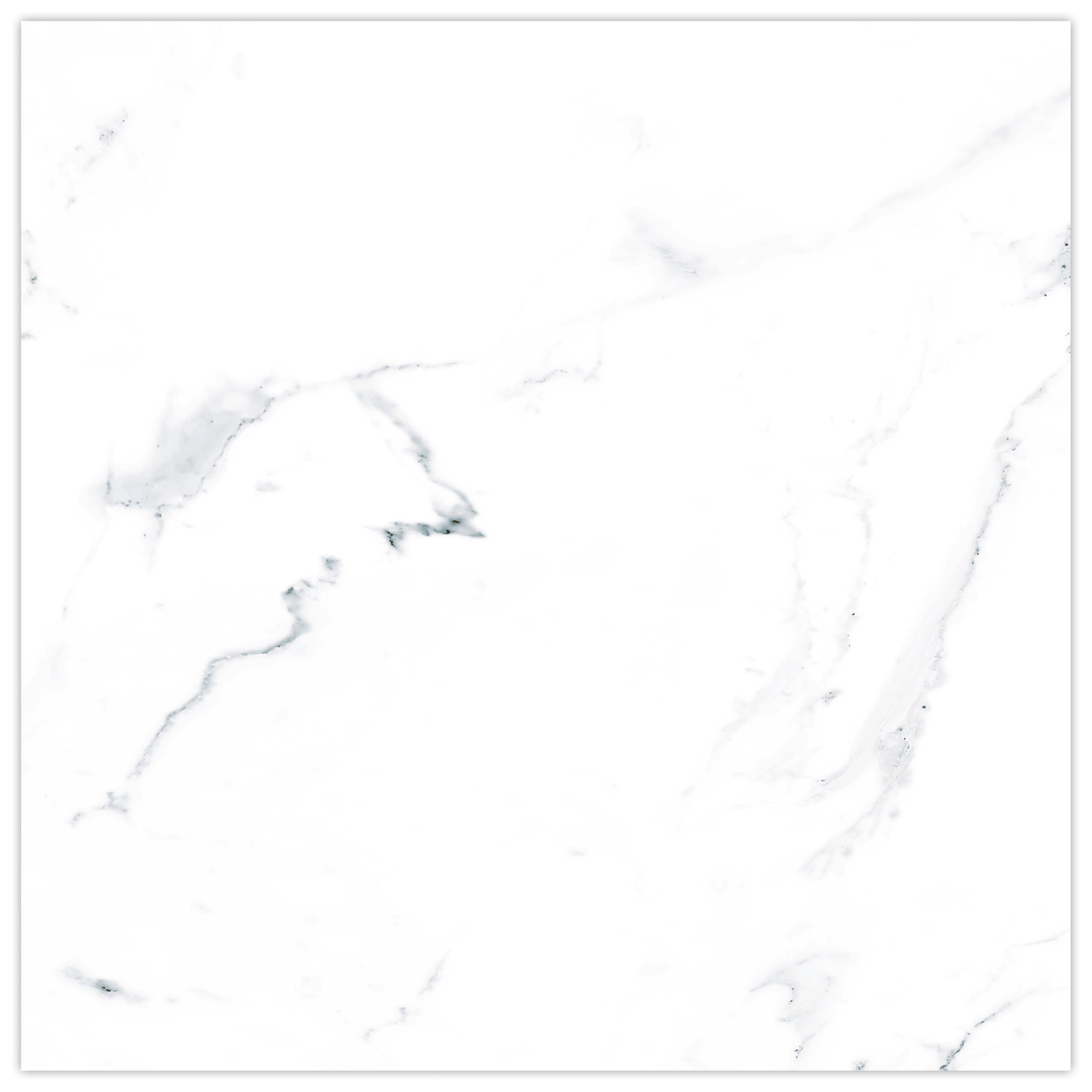 Merola Tile Timeless Calacatta 9-3/4" x 9-3/4" Porcelain Floor and Wall Tile