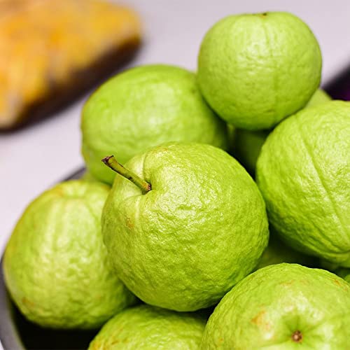 QAUZUY GARDEN 15 Seeds Guava Psidium Guajava Tree Seeds Non-GMO Organic Guayaba Seeds Edible Plant Nutritious White Tropical Fruit Easy to Grow