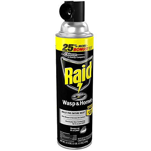 Raid Wasp and Hornet Killer (17.5 OZ Pack - 6)