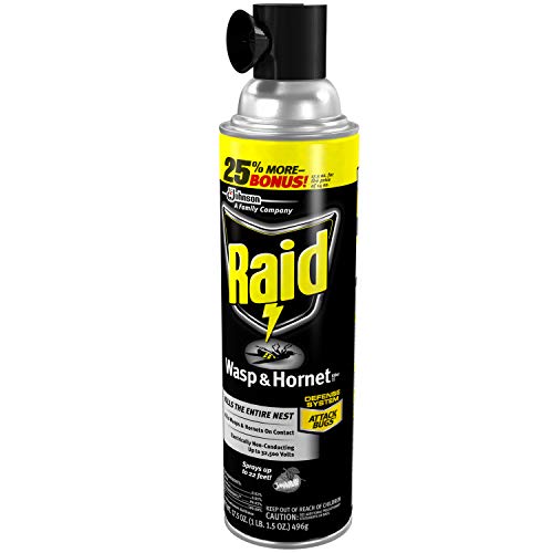 Raid Wasp and Hornet Killer (17.5 OZ Pack - 6)