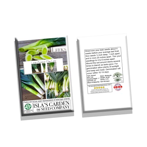 Large American Flag Leek Seeds for Planting, 500+ Heirloom Seeds Per Packet, (Isla's Garden Seeds), Non GMO Seeds, Botanical Name: Allium ampeloprasum, Great Home Garden Gift