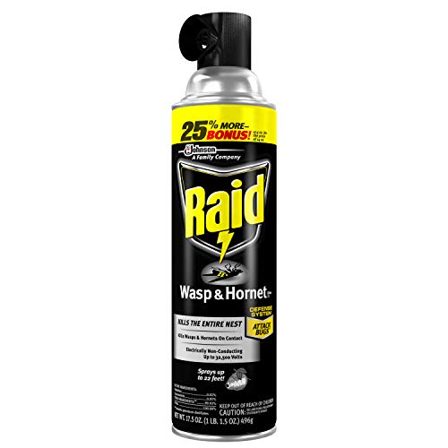Raid Wasp and Hornet Killer (17.5 OZ Pack - 6)
