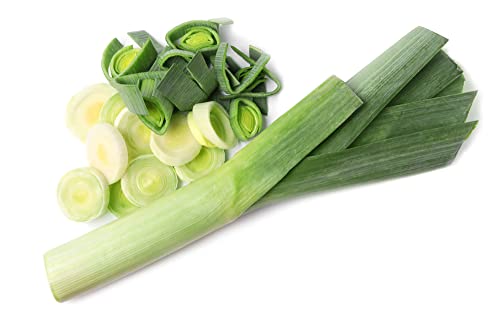 Large American Flag Leek Seeds for Planting, 500+ Heirloom Seeds Per Packet, (Isla's Garden Seeds), Non GMO Seeds, Botanical Name: Allium ampeloprasum, Great Home Garden Gift
