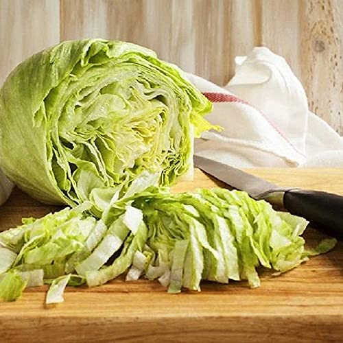 David's Garden Seeds Lettuce Iceberg 4539 (Green) 200 Non-GMO, Heirloom Seeds