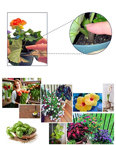 EarthPods Premium Garden Herbs & Vegetable Plant Food β Easy Organic Fertilizer Spikes β 100 Count β Supports Healthy Root & Leaf Growth (Great for Kitchen Herbs & Lettuce Garden, Ecofriendly)