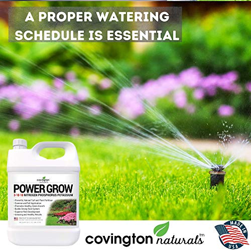 Liquid Lawn Fertilizer, 3-18-18 NPK Grass Fertilizer, Premium Lawn and Plant Nutrient Liquid Fertilizer and Food β Year Round Concentrate for Best Value β All Grass Types β 32 OZ