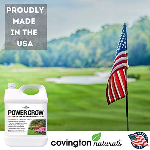Liquid Lawn Fertilizer, 3-18-18 NPK Grass Fertilizer, Premium Lawn and Plant Nutrient Liquid Fertilizer and Food β Year Round Concentrate for Best Value β All Grass Types β 32 OZ