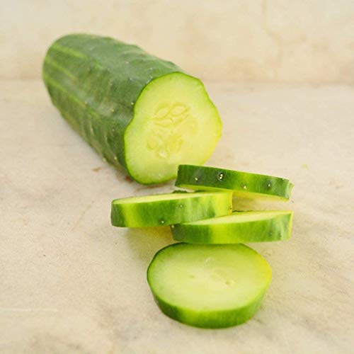 Gaea's Blessing Seeds - Spacemaster Cucumber Seeds (2.0g) Non-GMO Seeds with Easy to Follow Planting Instructions - Heirloom 90% Germination Rate