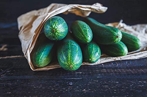 Gaea's Blessing Seeds - Spacemaster Cucumber Seeds (2.0g) Non-GMO Seeds with Easy to Follow Planting Instructions - Heirloom 90% Germination Rate