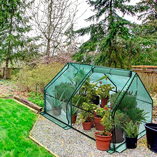 Byhagern Mini Greenhouse, 71'' x 36'' x 36'' Garden Plant Green House with 2-Zipper Doors, Portable Green Hot House for Indoor/Outdoor, Patio, Backyard and Nursery
