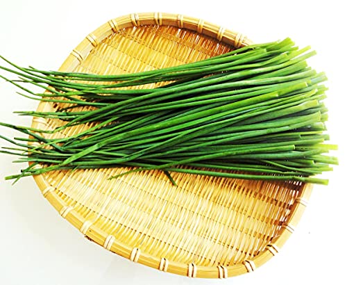 Chives Allium Schoenoprasum Wild Onion Wild Garlic Herb Garden Seeds for Planting About 100 Seeds